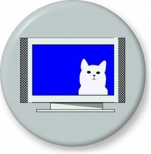 Lusterko Kieszonkowe 56mm Kot W Tv 402048 - Gadżety dla domu - Ceny i ...