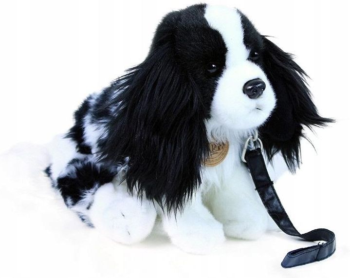 Rappa Pies Dog Spaniel Cavalier Maskotka Eko - Ceny i opinie - Ceneo.pl