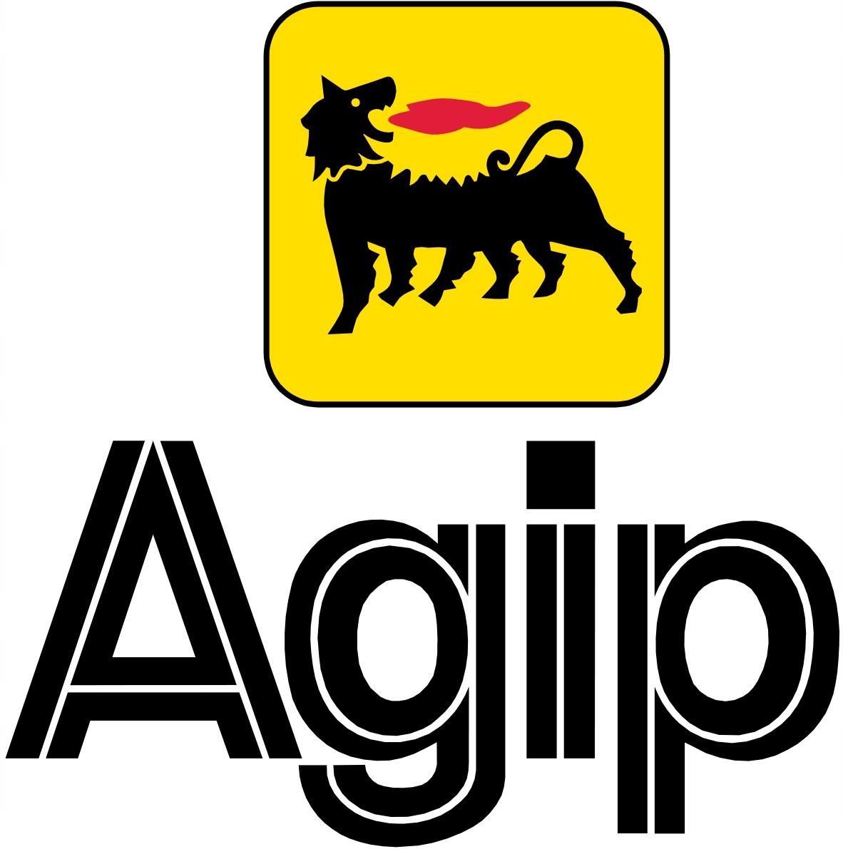 Smar Agip Grease Sm Mos2 Do Duzych Obciażeń 400G - Opinie i ceny na ...