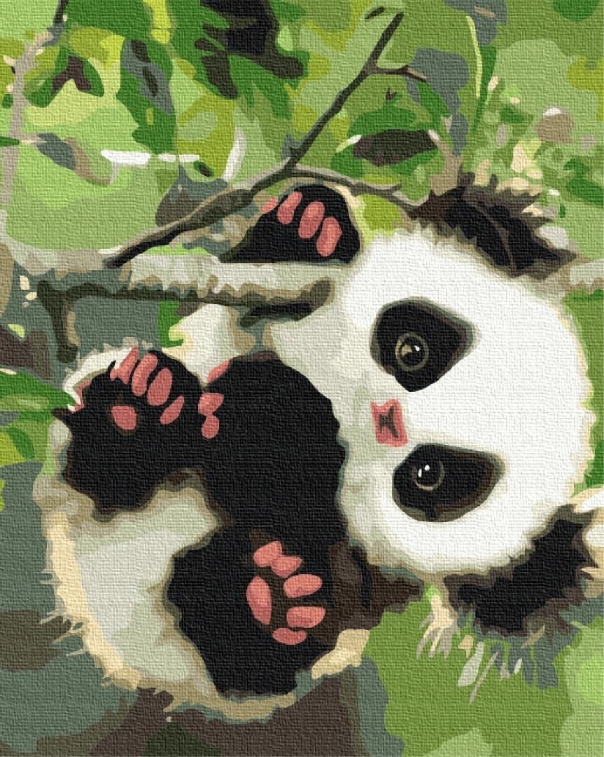 Malowanie po numerach Paint it! panda. 40x50 cm - Ceny i opinie - Ceneo.pl