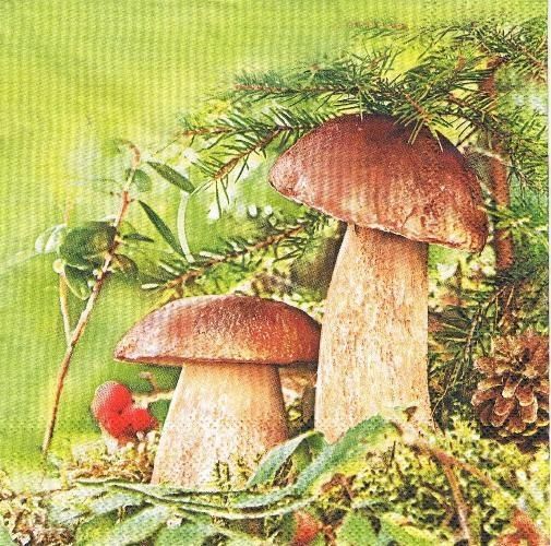 Serwetka decoupage 952 serwetki Grzyby borowiki - Ceny i opinie - Ceneo.pl