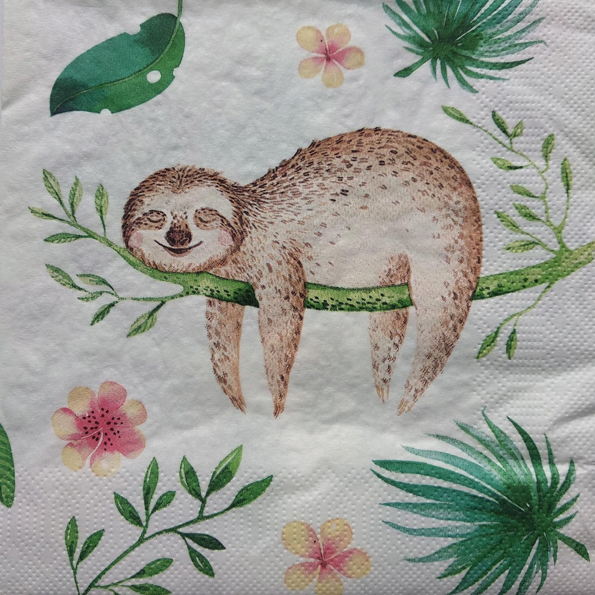 Serwetka leniwiec rodzina leniwców wesołe leniwce - Ceny i opinie ...