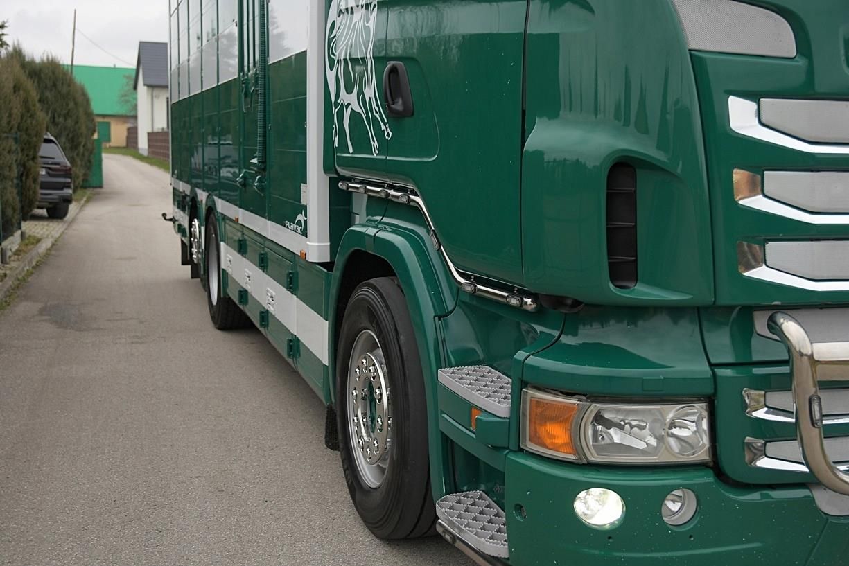SCANIA R500 * DO ŻYWCA! *DO ZWIERZĄT * SUPER STAN! - Opinie i ceny na ...