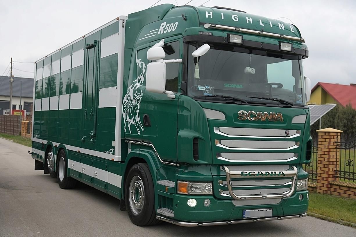 SCANIA R500 * DO ŻYWCA! *DO ZWIERZĄT * SUPER STAN! - Opinie i ceny na ...