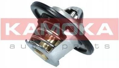 Termostat (wkład) Dacia Duster 10-, Logan 04- - Opinie i ceny na Ceneo.pl