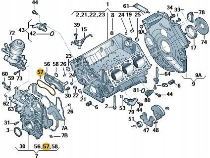 Audi Oe 059103525F Uszczelka Osłony Rozrządu Vw Aso - Opinie i ceny na ...