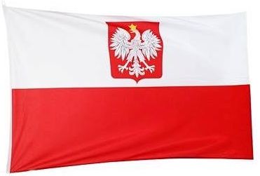 Flaga Polska Polski na Patyku 20 x 28 cm - Ceny i opinie - Ceneo.pl