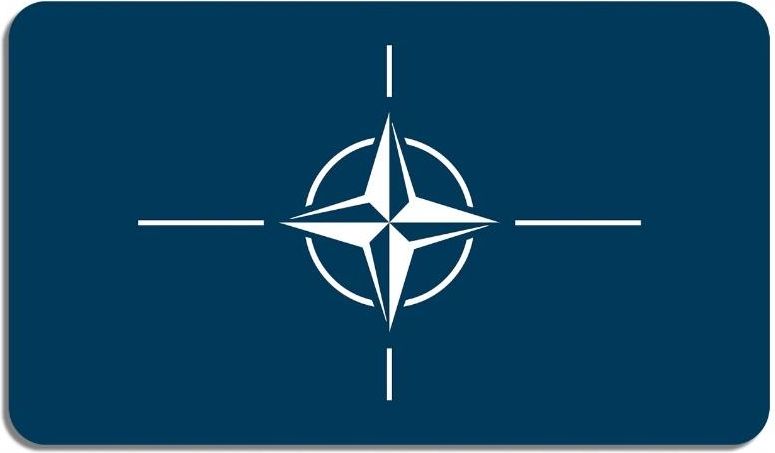 Nowa przypinka, plakietka, pin, flaga Nato - Ceny i opinie - Ceneo.pl