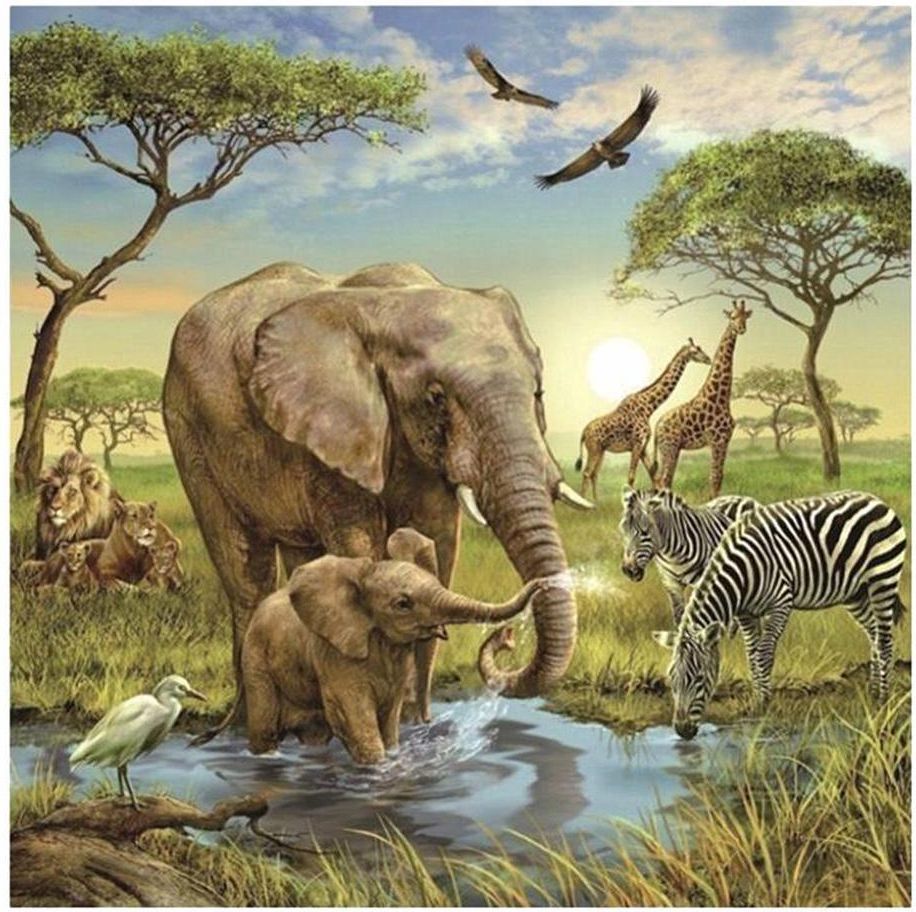 5D Diy Diament Malarstwo Zwierząt Obraz Pokój - Ceny i opinie - Ceneo.pl