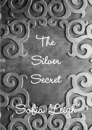 The Silver Secret - Literatura obcojęzyczna - Ceny i opinie - Ceneo.pl