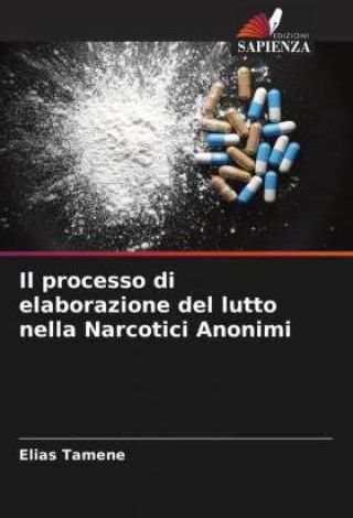 Il processo di elaborazione del lutto nella Narcotici Anonimi ...