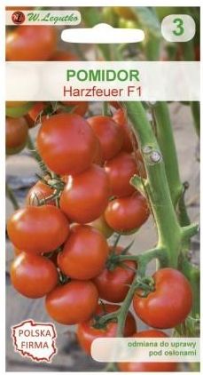 Pomidor Pod Osłony Harzfeuer F1 Nasiona W.Legutko - Ceny i opinie - Ceneo.pl