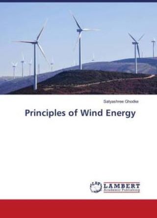 Principles of Wind Energy - Literatura obcojęzyczna - Ceny i opinie ...