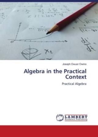 Algebra in the Practical Context - Literatura obcojęzyczna - Ceny i ...