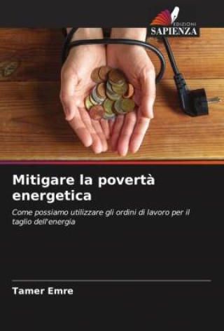 Mitigare la povert? energetica - Literatura obcojęzyczna - Ceny i ...