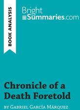 Chronicle of a Death Foretold by Gabriel García Márquez (Book Analysis ...