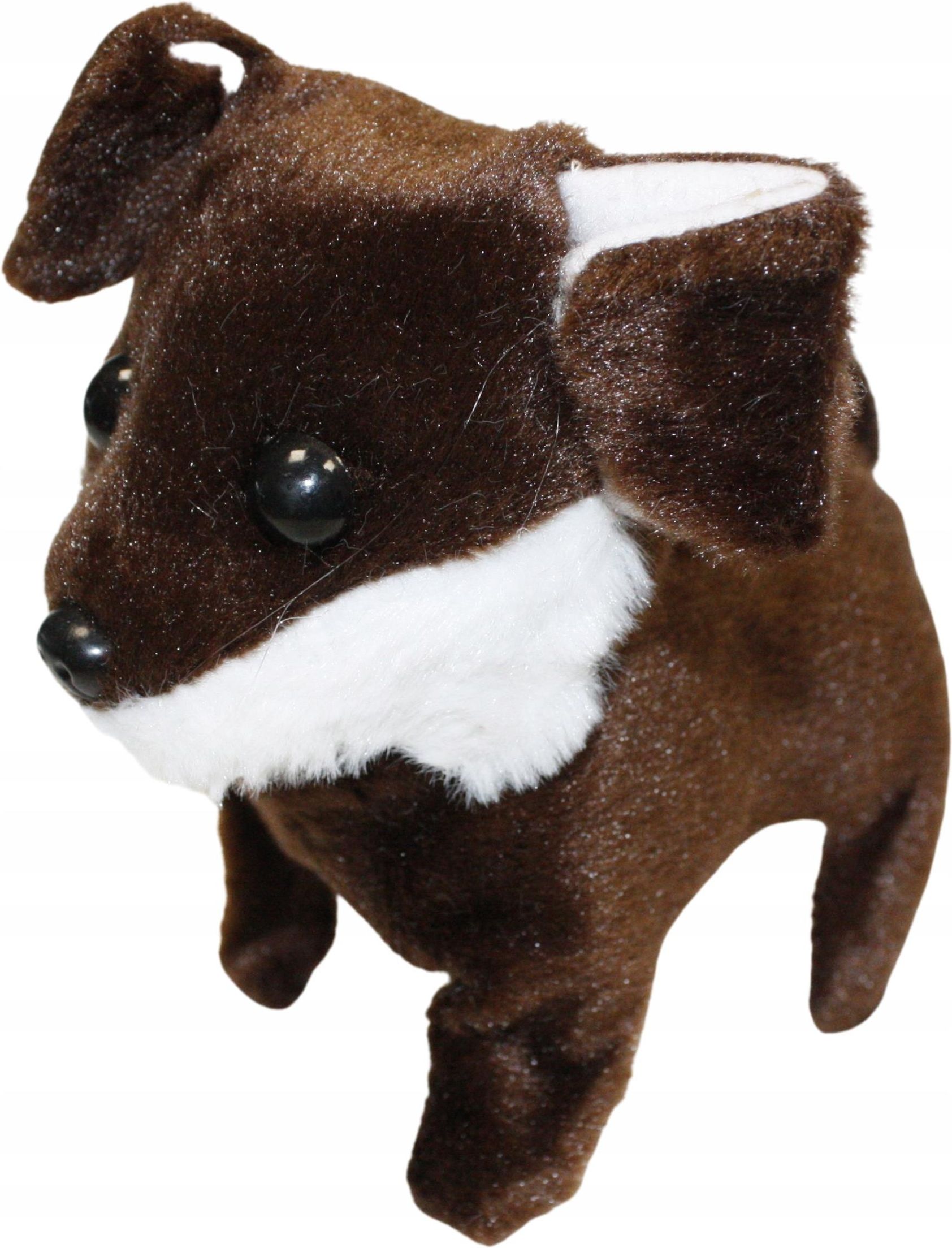 Emaj Piesek Interaktywny Sznaucer Chodzi - Ceny i opinie - Ceneo.pl