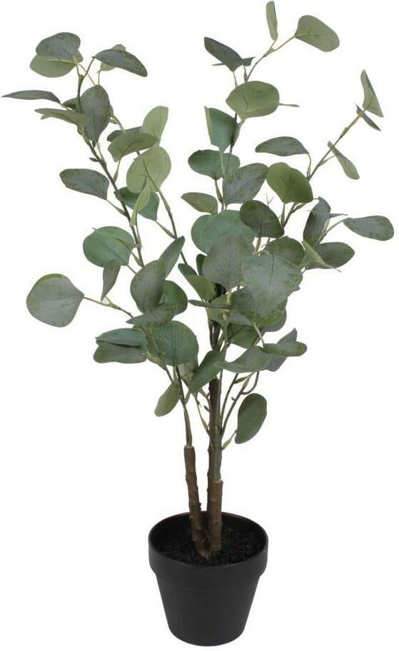 Splendid Eukaliptus Sztuczny 65Cm W Doniczce 344359 - Opinie i ...