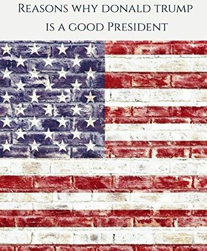 Independently Published Reasons Why Donald Trump Is A Good President ...