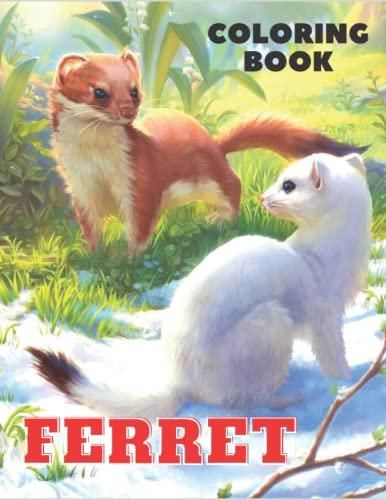 ferret coloring book