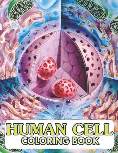 human cell coloring sheet