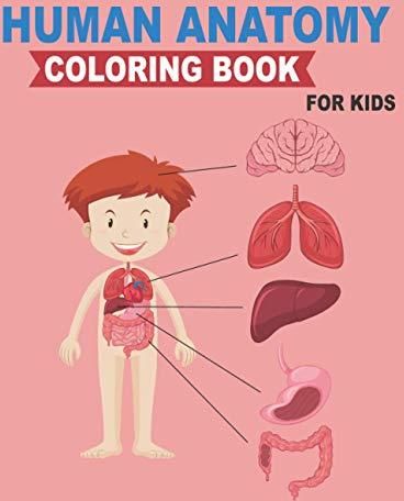Human Anatomy Coloring Book For Kids: A Human Body Coloring Sheets ...