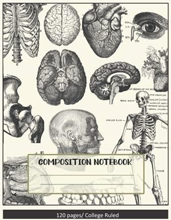 Independently Published Composition Notebook: Human Anatomy Notebook ...