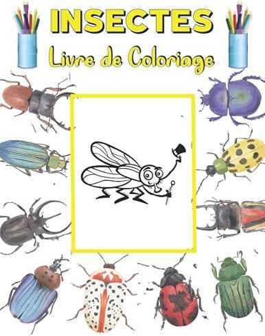 Insectes livre de coloriage: Les Insectes Cahier D'activité Pour Les ...