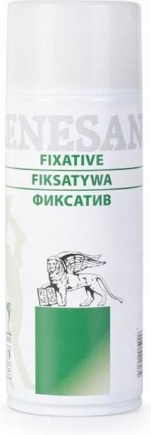 Fiksatywa spray 400 ml Renesans utrwalacz prac - Ceny i opinie - Ceneo.pl