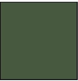 Farba akrylowa Olive drab FS34087 (M) A30 Pactra - Ceny i opinie - Ceneo.pl