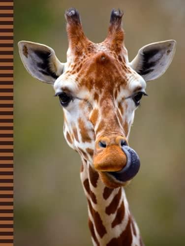 Giraffe Notebook: Large Hardcover 8.5x11 Composition Journal / 100 ...