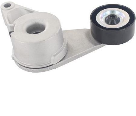 Skf Rolka napinacza pasek klinowy wielorowkowy VKM65095 - Opinie i ceny ...