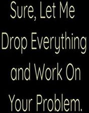 Sure, Let Me Drop Everything and Work On Your Problem: Sure, Let Me ...