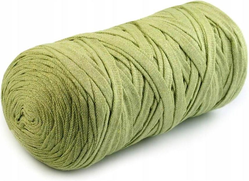 Włóczka Spaghetti Ribbon płaska zielona jasna - Ceny i opinie - Ceneo.pl