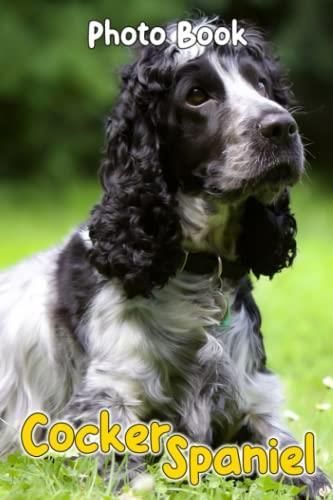 Cocker Spaniel Photo Book: Cute Animal Colorful Pictures For All Ages ...