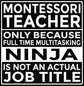 Montessori Teacher - Only Because Full Time Multitasking Ninja Is Not ...