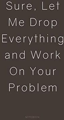 Sure, Let Me Drop Everything and Work On Your Problem: Notebook for ...