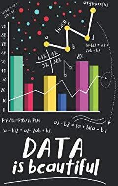 Data Is Beautiful: Notebook Dot Grid Notepad ToDo Exercise Book or ...