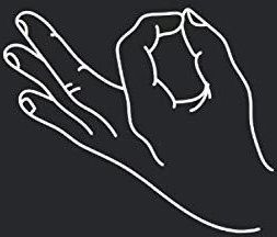 Notizbuch: Reingeschaut Hand Notizheft Blanko Ca. DIN A5 Geschenk-Idee ...