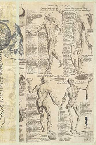 Vintage Art Anatomy Notebook [ Paperback ]( 120 pages / Unlined / 6x9 ...
