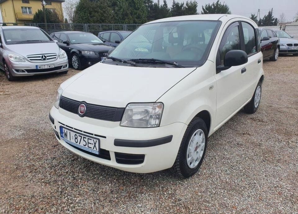 Fiat Panda 1.3 Multijet Dynamic - Opinie i ceny na Ceneo.pl
