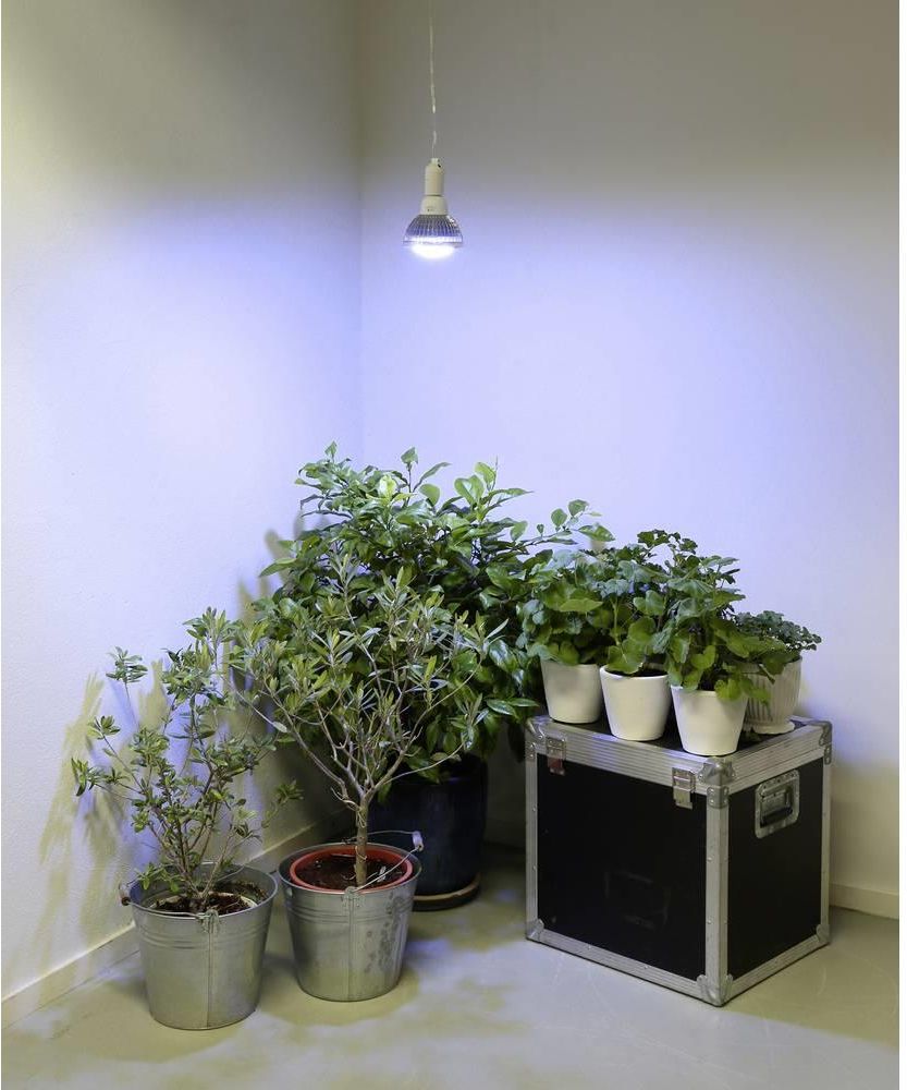 Venso Lampa Do Roślin 136 Mm 230 V E-27 18 W 1 Szt. E501 210 - Opinie i ...