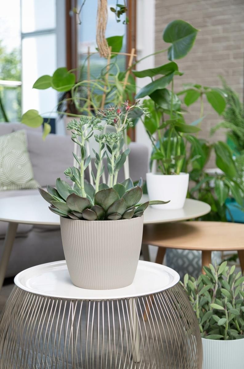 Doniczka Osłonka Magnolia Jumper 260 Lamela Taupe - Ceny i opinie ...