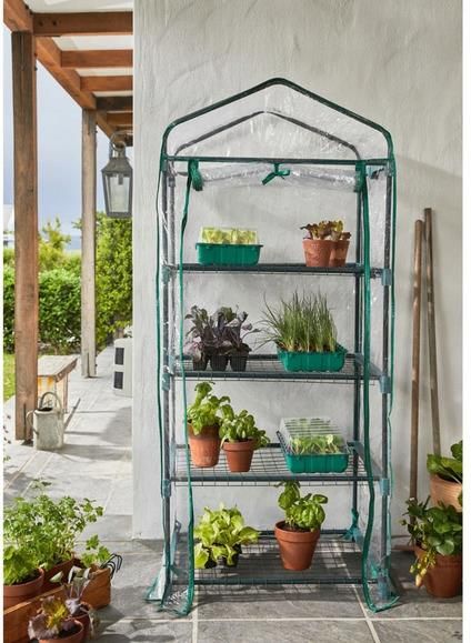 Mini Szklarnia Parkside 49x69x170cm 4 Półki - Ceny i opinie - Ceneo.pl