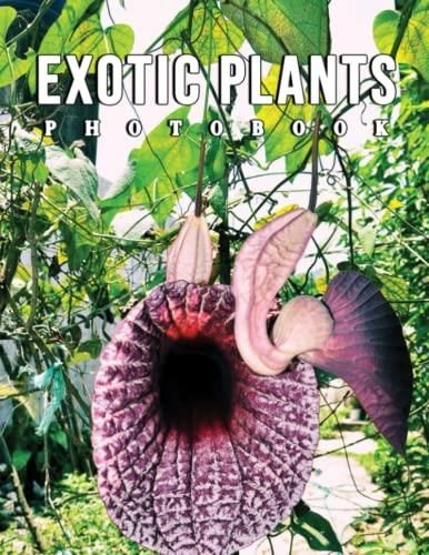A Photo Book Of Exotic Plants: An Album Consist Of Compelling Photos ...