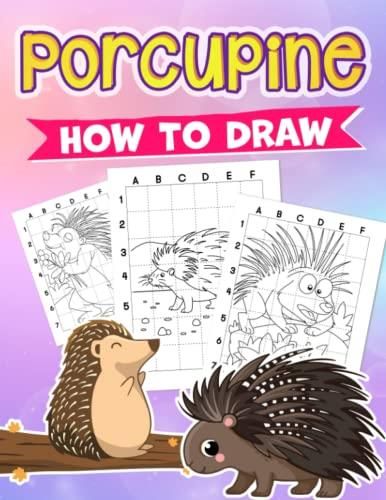How To Draw Porcupine: Collection Of 30 Simple And Basic Drawing Pages ...