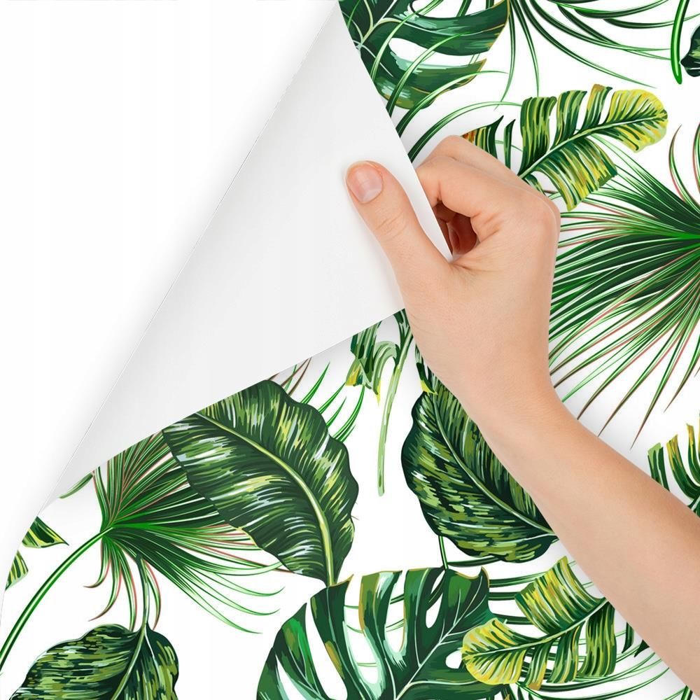 Tapeta Monstera Liście - Opinie i ceny na Ceneo.pl