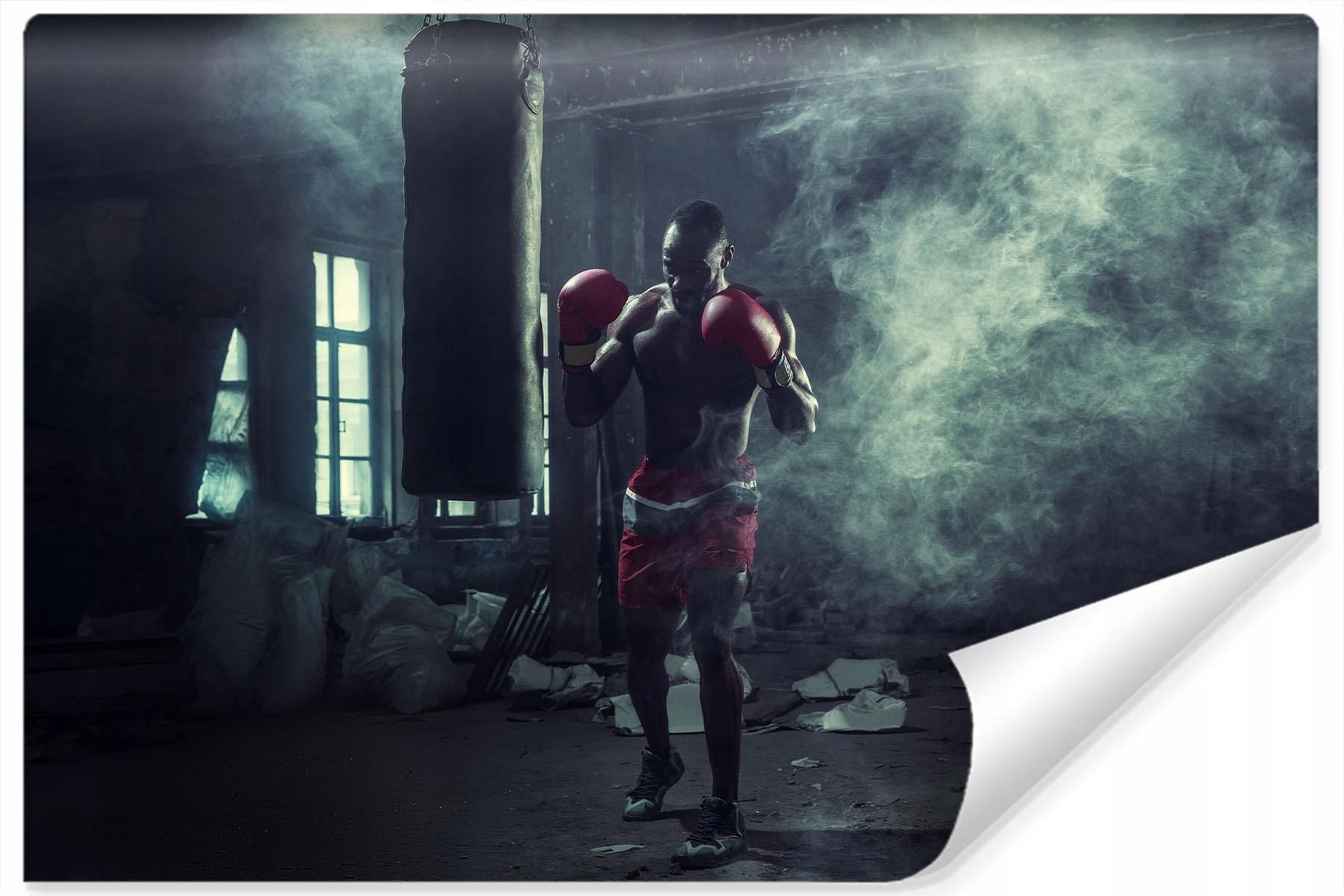 Muralo Fototapeta Bokser Sport Trening 360x240 - Opinie i ceny na Ceneo.pl