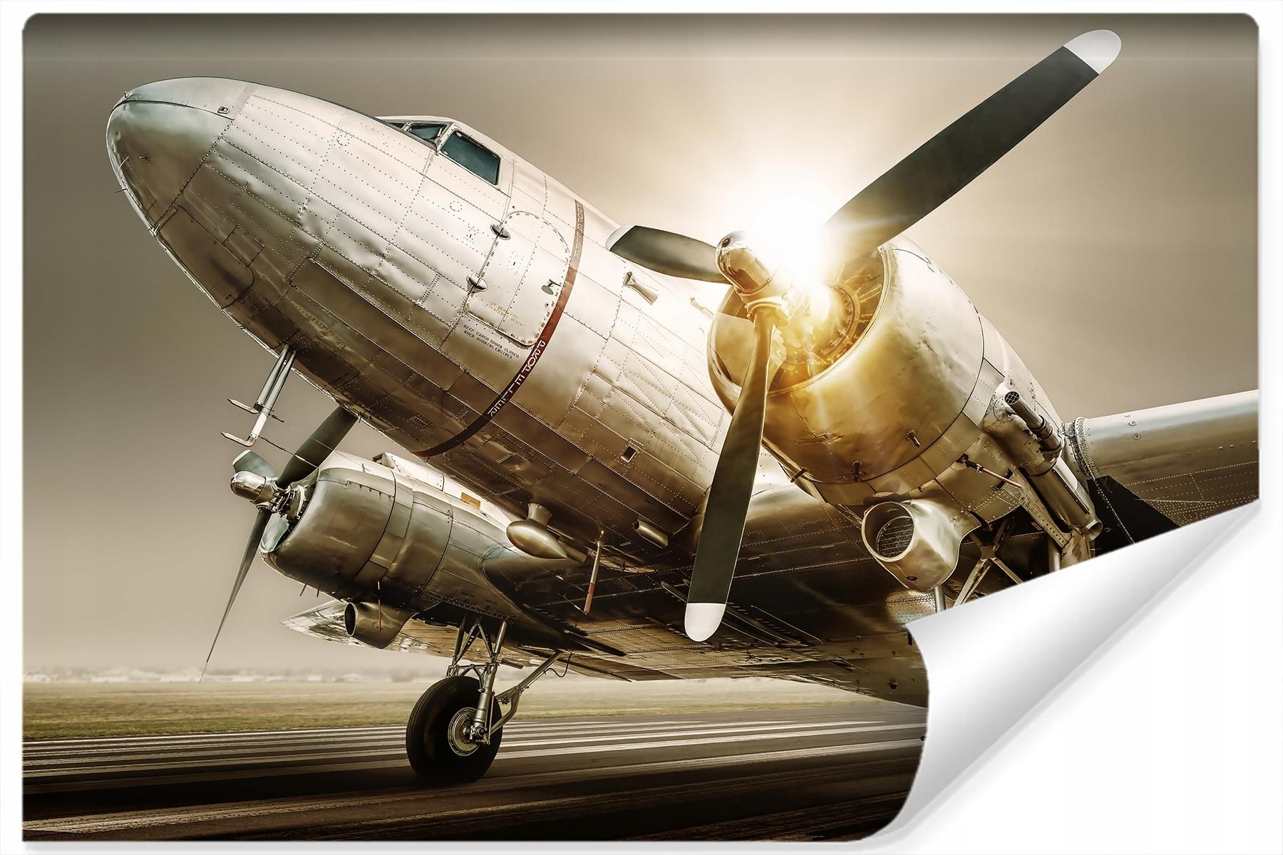Muralo Fototapeta Zabytkowy Samolot 3D 315x210 - Opinie i ceny na Ceneo.pl