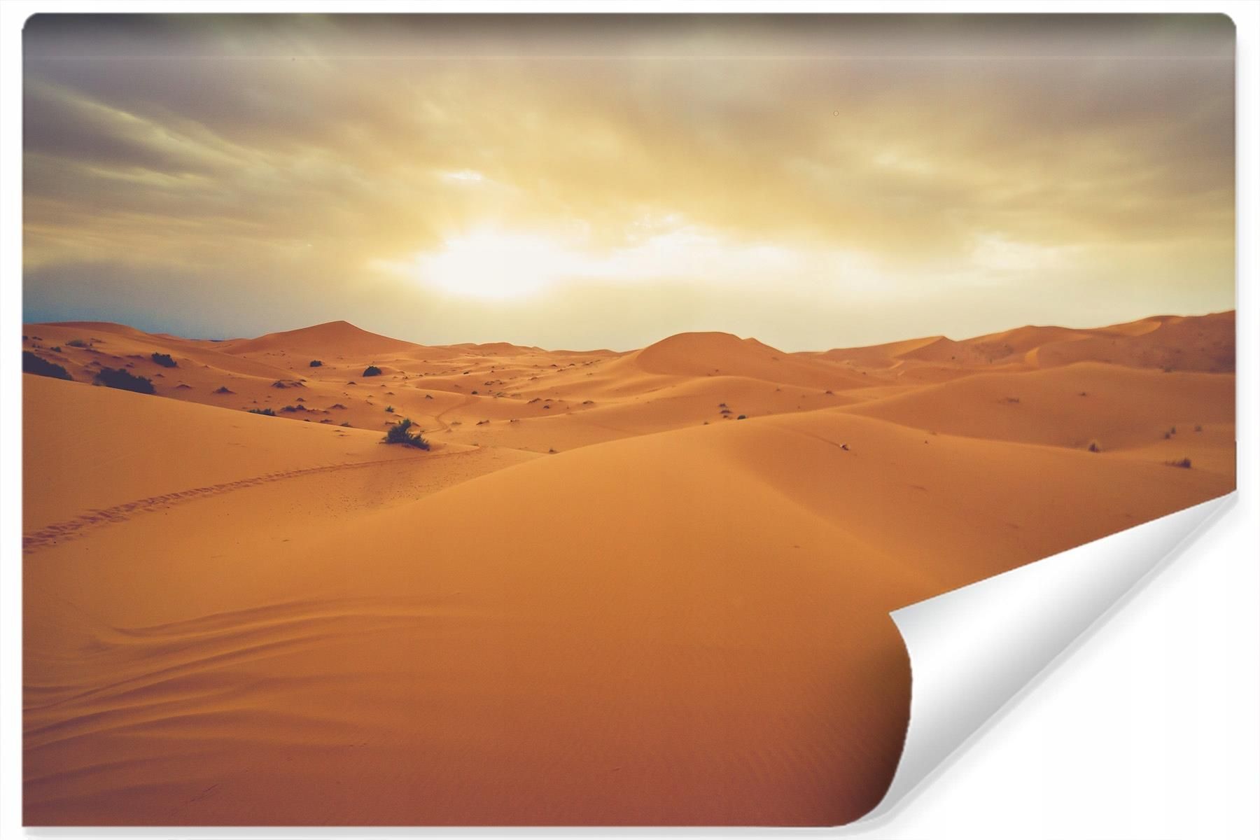 Muralo Fototapeta Sahara Pustynia Pejzaż 300x210 - Opinie i ceny na ...